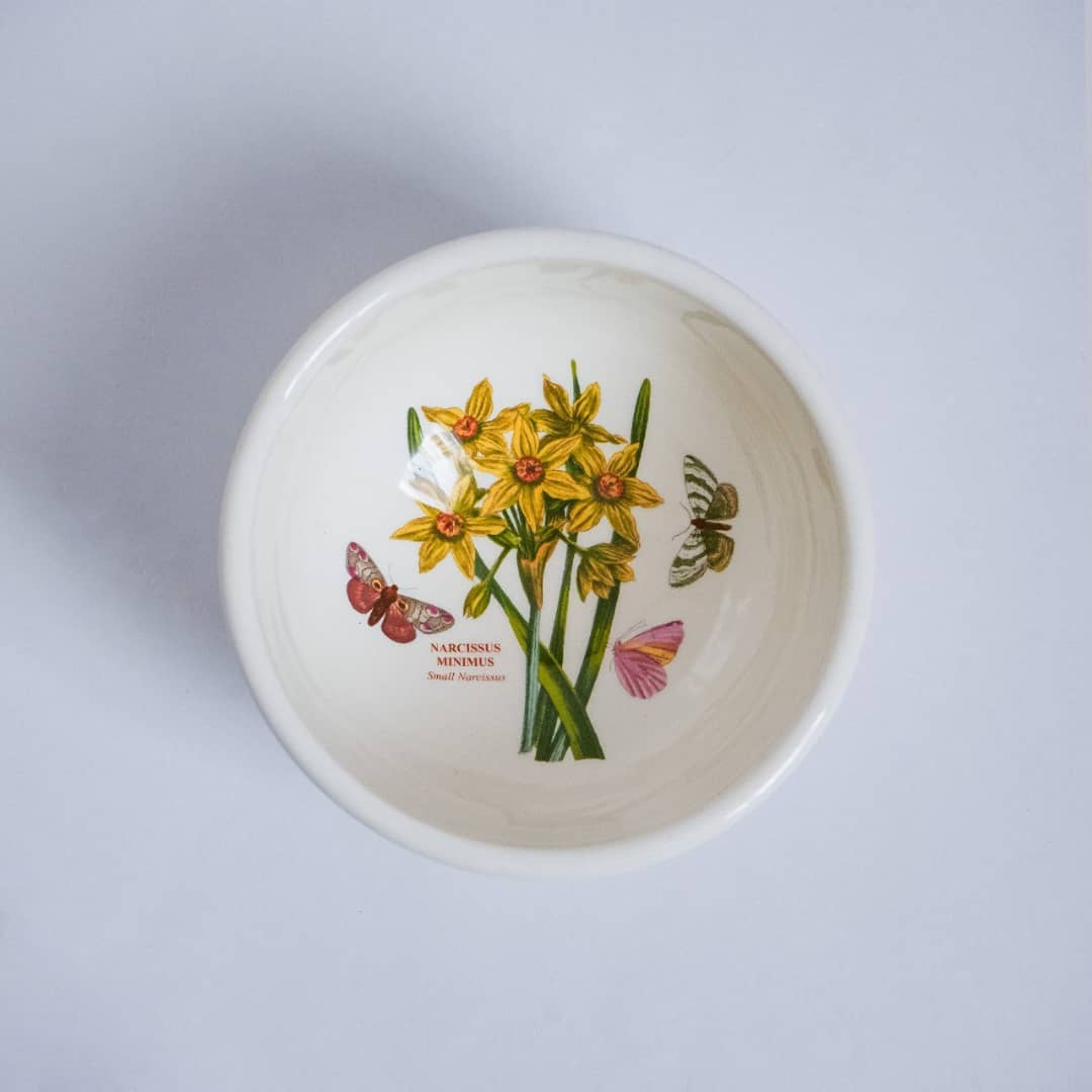 Seconds Portmeirion Botanic Garden Embossed 5 Inch Fruit Salad Bowl ...